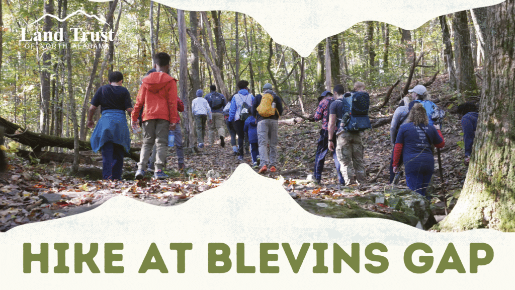 Hike at Blevins Gap North - Hville Blast