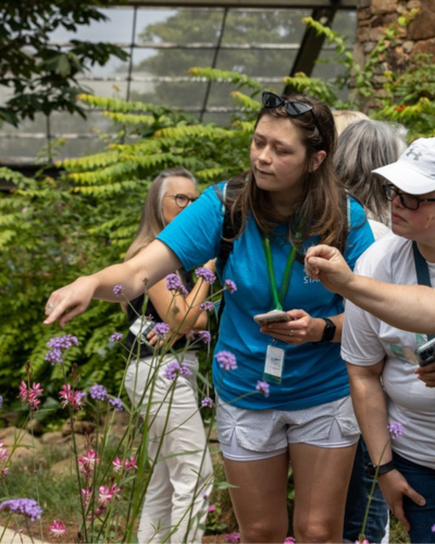 Member Exclusive: Purdy Butterfly House Tour - Hville Blast